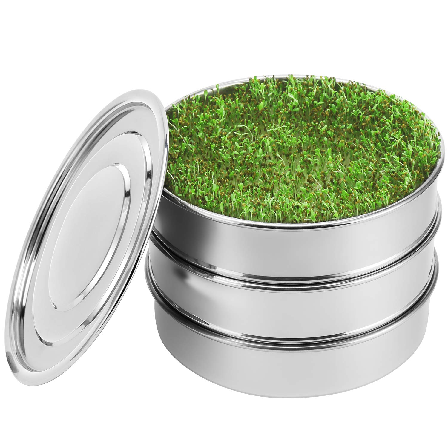 Sprouting Tools – soligtkitchen